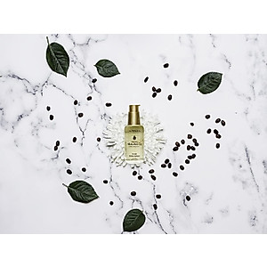 L'ANZA Travel With Luxury Hair Care Kit - Travel-Sized Shampoo, Conditioner, and Keratin Hair Oil - Volumizing Hair Products for a Luxury Treatment On the Go (1.7/1.7/1.25 Fl Oz)