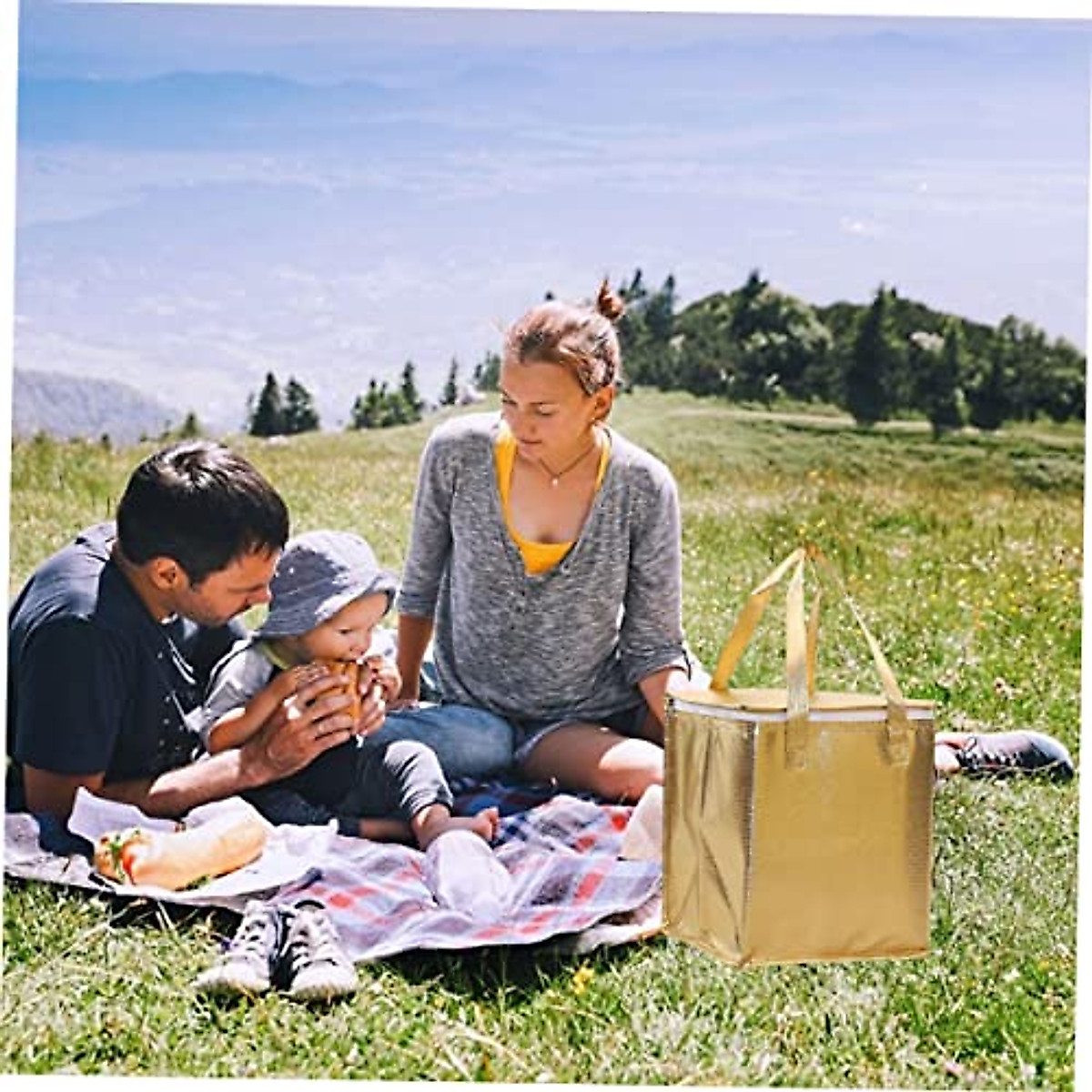 Abaodam 2pcs Baking Tote Car Tote Organizer Tote Bag Foldable Lunch Bag Insulated Shopping Bag Insulated Coffee Car Commercial Catering Bag Non-woven Fabric Golden Take-out Food Bag Food