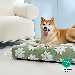 Lesure Large Dog Beds-Thick Shredded Chopped Foam Pet Bed, Dog Bed Indoor with Removable Cover, Cute Modern Fuzzy Plush & Anti Slip Bottom(36'x27', Green)
