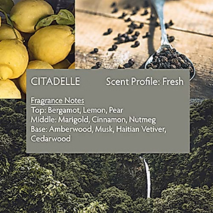 Raw Spirit Citadelle Perfume | Citrus, Fresh Unisex Cruelty-Free Fragrance | Eau de Parfum Spray, 1 fl oz/30mL