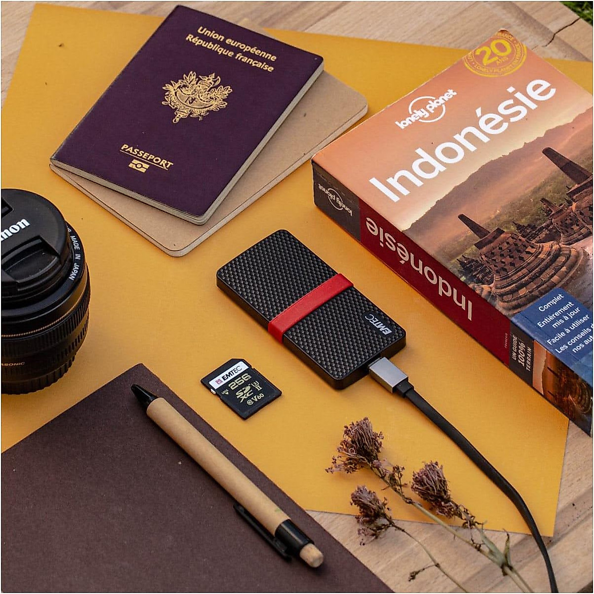 Emtec X200 Power Plus 1TB mSATA Portable Solid State Drive (SSD) - ECSSD1TX200