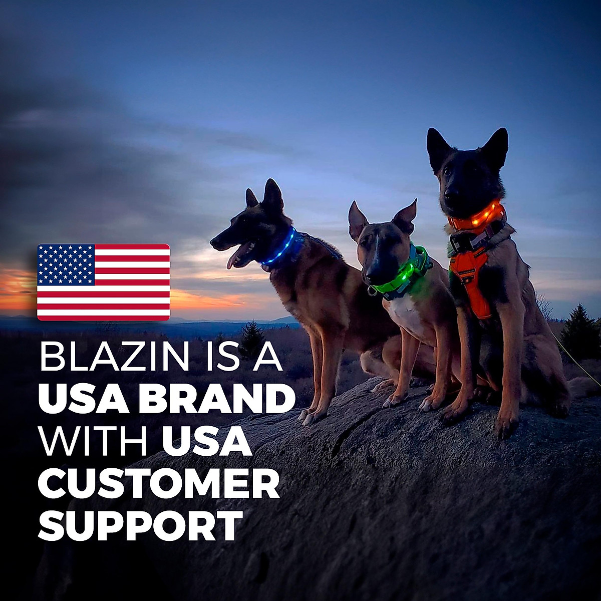 Blazin Brightest Light Up Dog Collars - The Original LED Dog Collar with 1,000 Feet of Visibility - USB Rechargeable Waterproof Dog Collar Light - Dog Lights for Night Walking - USA Brand