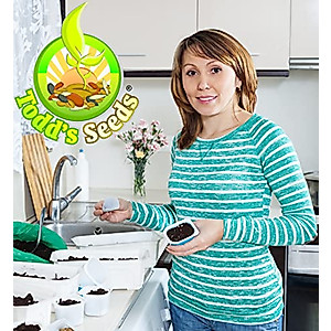 Todd's Seeds Broccoli and Friends Sprouting Seed Mix: Broccoli, Crimson Clover, Red Radish, Alfalfa, Non-GMO, Chemical Free, High Germination (1/4 Pound)