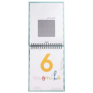 C.R. Gibson ''You Make The World a Brighter Place'' Rainbow Zebra Baby Milestone Cards Photo Prop Flipbook, 8.5'' x 10.5''