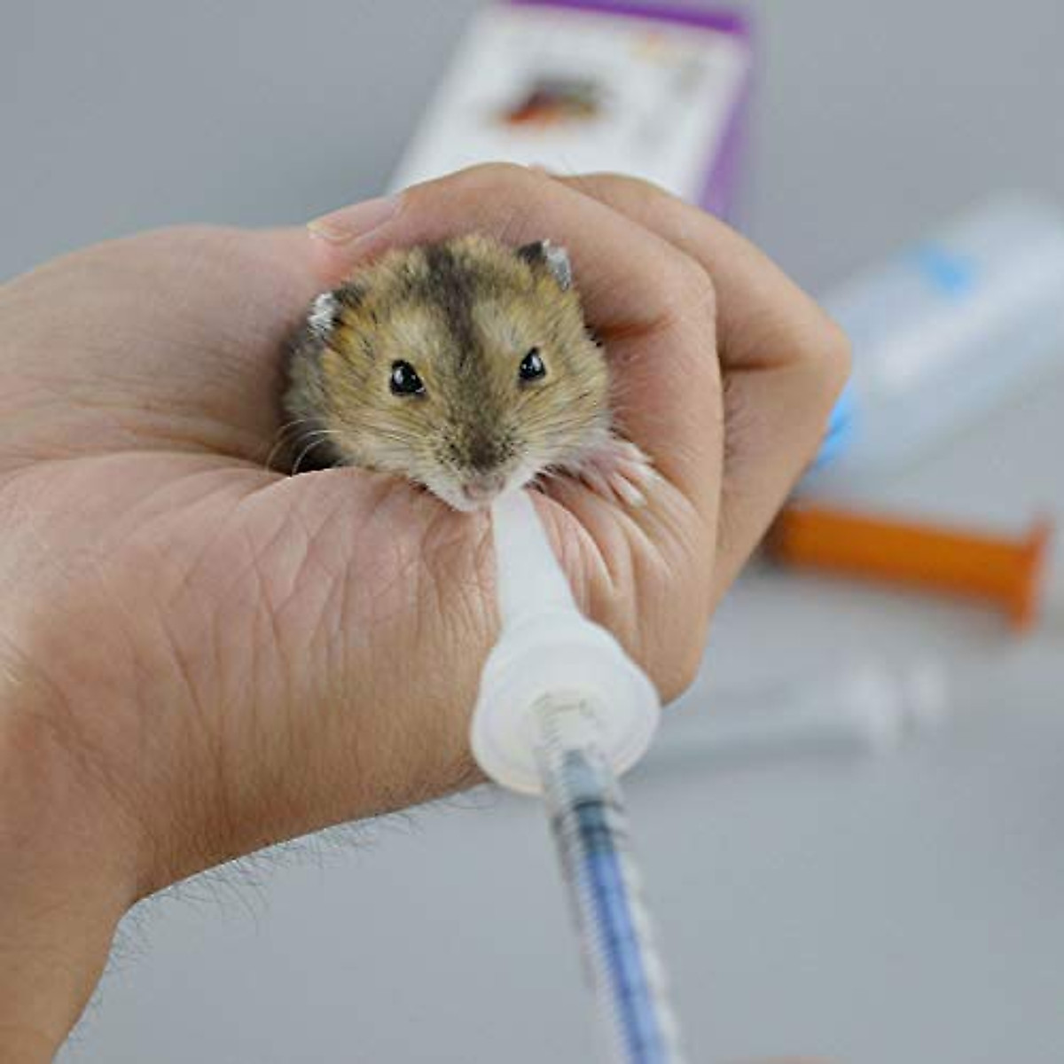 Newborn Kitten Puppy Feeding Bottles for Nursing, Pet Nurseing Feeding Bottle Kits with Replacement Nipples