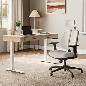 EUREKA ERGONOMIC Ergonomic Office Chair with Back Support, Home Office Desk Chairs Dual Backrests Office Chair, Executive Office Chair Adjustable Arms, Best Office Chair for Lower Back Pain, Beige