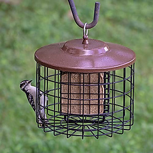 More Birds Squirrel-X Double Suet Feeder, Outdoor Wild Bird Feeder, Cage Bird Feeder, 2 Suet Cake Capacity