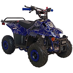 110cc ATV Four Wheelers Fully Automatic 4 Stroke Engine 6 Inch Tires Quads for Kids Spider Black
