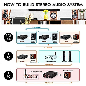 Douk Audio G4 Subwoofer Full-Frequency Mono Channel Digital Power Amplifier 100W