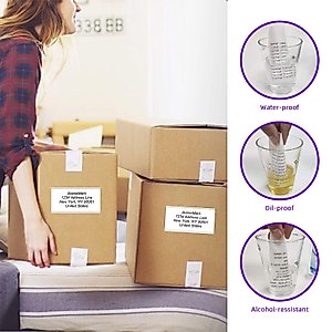 AveneMark 12 Rolls 4" x 2" Direct Thermal Labels for Barcodes Postage Address Shipping Labels Compatible with Rollo & Zebra Desktop Printers Adhesive - 750 Labels/Roll