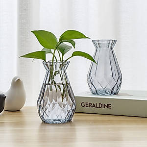 MyGift Small Clear Gray Glass Decorative Vase, 6 Inch Diamond-Faceted Flower Bud Vase, Set of 2