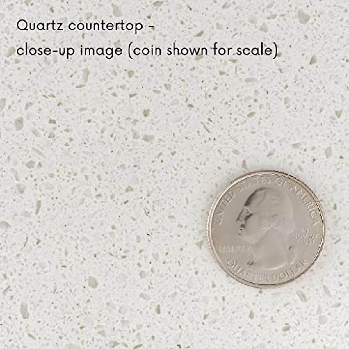 Charlotte 42-inch Farmhouse Bathroom Vanity (Quartz/White): Includes White Cabinet with Stunning Quartz Countertop and White Ceramic Apron Sink