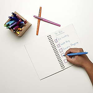 Paper Mate Flair Felt Tip Pens, Medium Point (0.7mm), Assorted, Special Edition Retro Accents, 12 Count