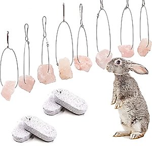 BNOSDM 12 Pack Small Animals Himalayan Salt Licks Set, 6 Rabbit Mineral Salt Blocks and 4 Hamster Teeth Grinding Stones Natural Bunny Chew Treat Toys for Rats Guinea Pigs Ferrets Chinchillas