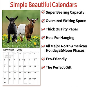 Gag Gift D'ck Pics Nature 2024 Wall Calendar, White Elephants Funny Stone 14 Monthly Calendar 12" x 24" Opened, November 2023 - December 2024,Full Page Thick & Sturdy for Organizing & Planning
