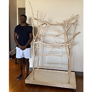 ExoticDad Large Bird Perch - Customize Your Perch Designed Natural Dragonwood Bird Perch on Wheels Stand for Parrots, Birds, Parakeets, Monkeys, Cockatiel, African Grey, Conure (2x4 ft B - 5x6 ft H)