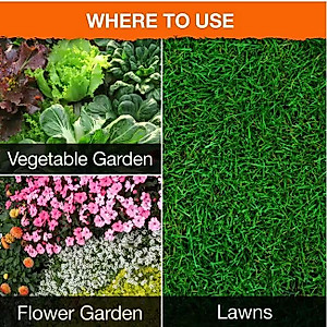 Ortho Bug B Gon Insect Killer for Lawns3. - Kills Ants, Fleas, Ticks, Chinch Bugs, Mole Crickets and Cutworms - Use on Lawns, Ornamentals and Home Perimeter, 10 LB