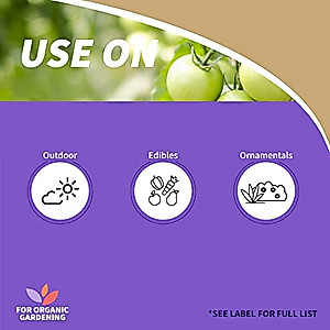 Bonide Captain Jack's Deadbug Brew Flower & Vegetable Garden Dust, 4 lb. Ready-to-Use Dust For Organic Gardening