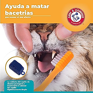 Arm & Hammer Cat Dental Kit - Toothbrush, Toothpaste and Oral Care for Kittens with Tuna and Fresh Mint Flavors