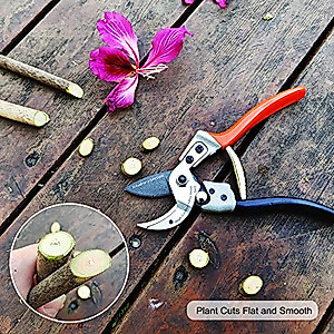 TONMA Anvil Pruning Shears [Made in Japan] Professional 8 Inch Heavy Duty Garden Scissors Secateurs with Ergonomic Handle, Hand Pruners Gardening Hand Tool Branch Clippers for Plants