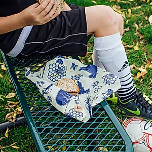 Bee's Wrap - Lunch Pack - Made in the US - Beeswax Food Wrap - Bees and Bears Print - 3 Pieces (Sandwich Wrap, 2 Medium Food Wraps)