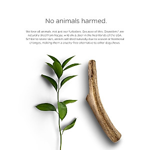 Pet Parents Gnawtlers® - Premium Split Antlers for Dogs, Naturally Shed Split Elk Antlers, All Natural Split Elk Antler Dog Chew, Specially Selected from The Heartland Regions (Large (Pack of 1))