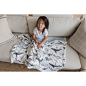 Pobi Baby Premium Baby Blanket, Soft Stretchy Quilt for Babies, Toddlers, Kids (Seaside)