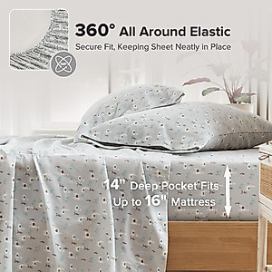 Comfort Spaces 100% Cotton Sheets Queen, Breathable, Naturally Cool Cotton Sheets, Soft Cotton Bed Sheets with 14" Elastic Pocket Fits up to 16" Mattress, All Seasons Sheet Set, Lama Multi 4 Piece