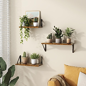 Fun Memories Floating Shelves Wall Mounted Set of 3, 16.5 Inch Natural Wood Wall Shelves, Decor Storage Shelf for Bedroom Bathroom Living Room Office Pictures Plants Books Cats TV (Rustic Brown)