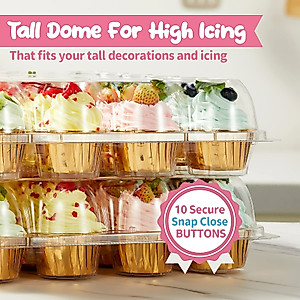 (24 Pack x 10 Sets) Gencywe Stackable Cupcake Carrier Holders with 240 Pack Cupcake Liners, Plastic Cupcake Boxes Holders for 24 Cupcakes, High Tall Dome Lid Cupcake Containers, Clear Disposable Cupcake Trays