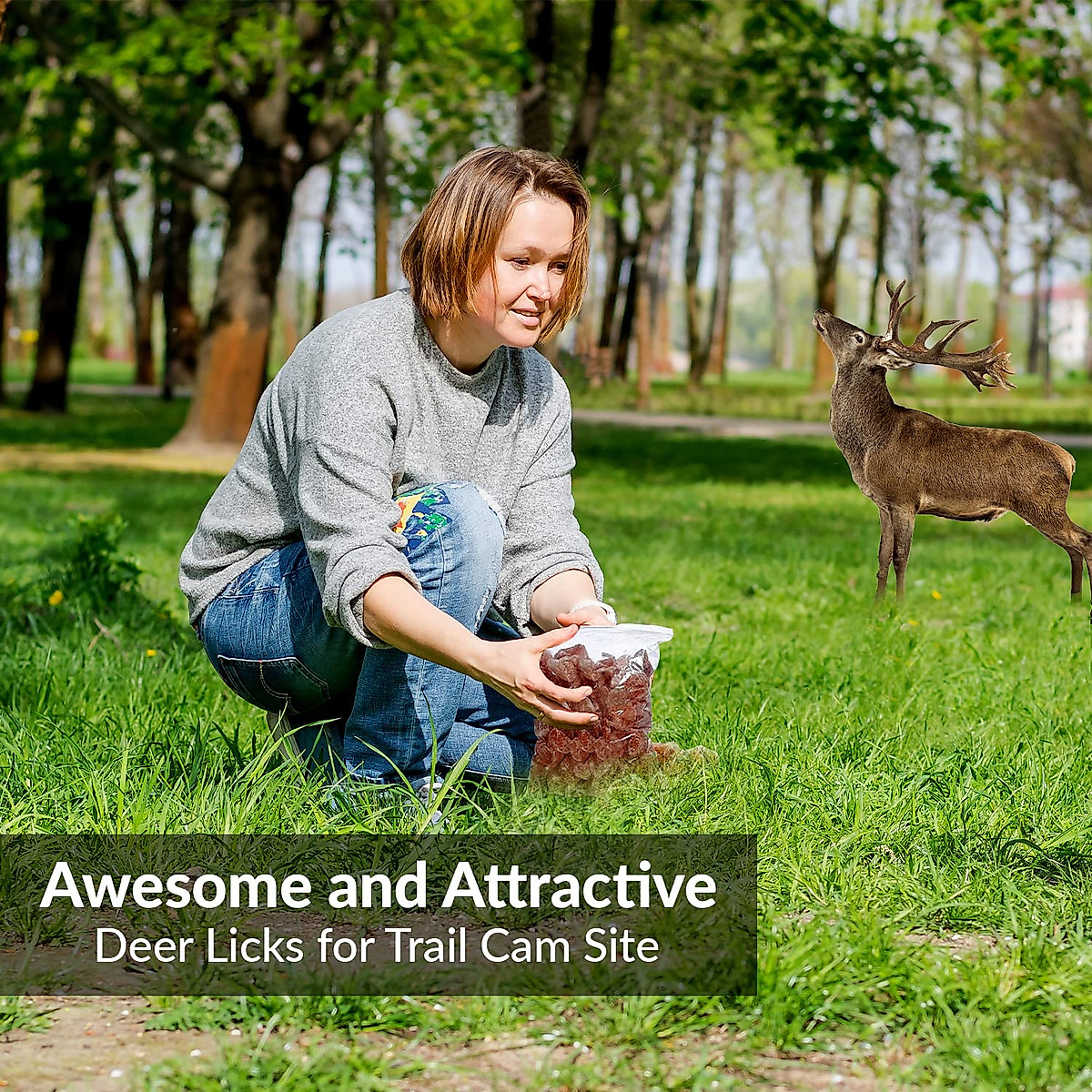 Himalayan Nature 100% Natural Solid Mineral Rock Salt - Salt Mineral Chunks animals