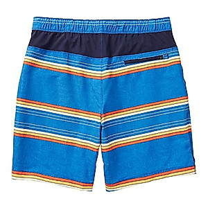 Speedo Mens Hydro Volley Swim Shorts (Speedo Blue Stripe, X-Large 36/38)
