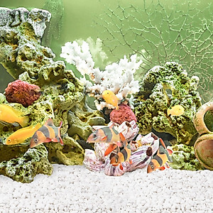 GASPRO 2.5lbs Aquarium Gravel and 5 Pound White Pebbles, White Rocks for Plants, Vases, Natural Decorative Pebbles for Succulents, Terrarium, Cactus