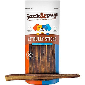 Jack&Pup Bundle - Bully Sticks + Pro-Digest Supplements | 12-Inch Odor Free [Standard Size] Bully Sticks (5 Pack) | Pro-Digest Probiotics for Dogs (60 Chews)…
