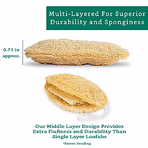Natural Loofah Exfoliating Sponge (4 Pack) - Loofa Body Scrubber - Loofah Sponge - Loofah Exfoliating Body Scrubber - Organic Loofah - Shower Luffa Sponges - Exfoliating Loofah - Biodegradable Loofah