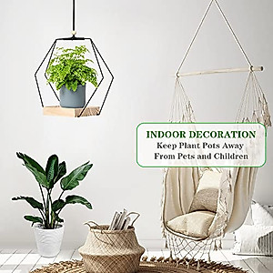 Kitypartsy Plant Hanger with Wood Base - Hanging Plant Holder, Hanging Planter/Pot for Indoor Plants Boho Macrame for Wall/Window/Room Decor, Black - Hexagon (Planter/Plants Not Included)