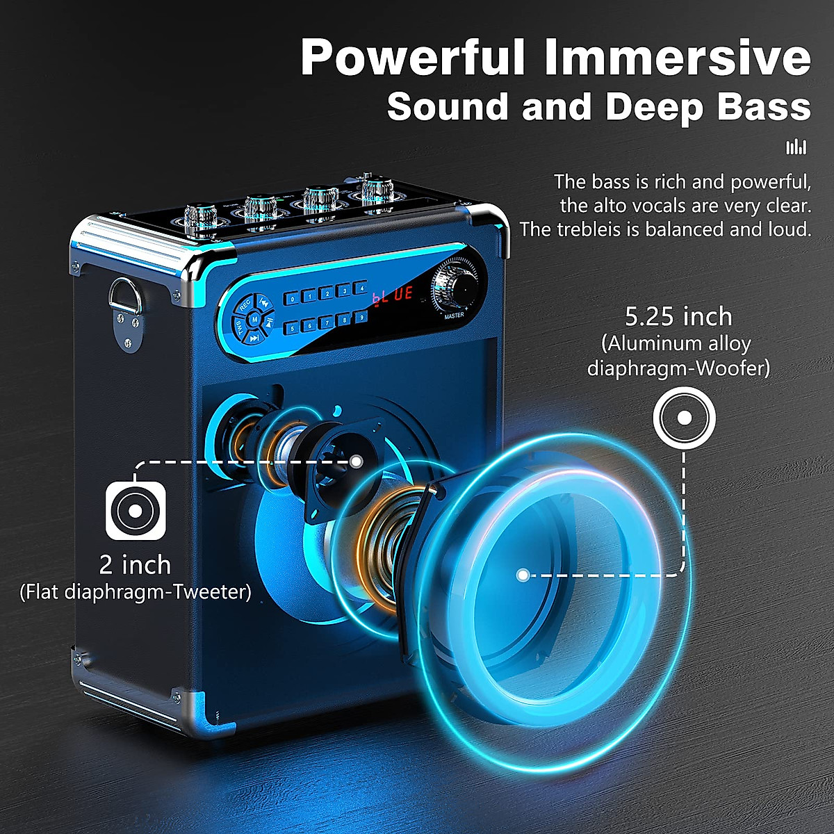 HWWR Karaoke Machine with 3 Wireless UHF Microphones for Adults, Portable Bluetooth Speaker, Party Speaker with Disco Lights for Outdoor, PA System Karaoke Speaker Support TWS, Unpowered Cabinets