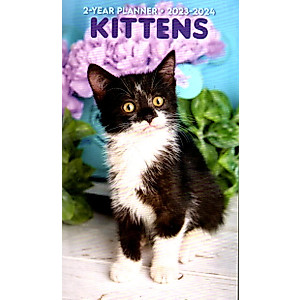 Paper Craft Kittens 2023 - 2024 2 Year Pocket Planner / Inspirations Calendar / Organizer - Monthly Page Format, multi