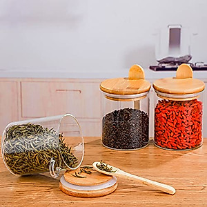 howbonwe Set of 3 Glass Food Storage Containers with Airtight Bamboo Lids and Bamboo Spoons, 15oz Clear Borosilicate Glass Containers Kitchen Organization Jars for Candy, Cookie, Nuts, Tea, Spice