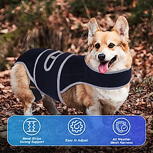 Dog Back Brace Arthritis, Adjustable ivdd Pet Support and Rehab Harness for Spinal Injury for Dachshund, Soft Hip Leg Support Helps Pain Relief, Corgi Spinal Surgical Recovery and Rehabilitation (M)