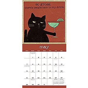 A Year of Snarky Cats 2023 Wall Calendar