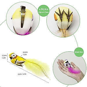 LWINGFLYER 12pcs Clip on Artificial Birds Realistic Small Foam Feather Birds for Spring Tree Decoration Christmas Ornaments Wreaths Crafts Floral Arrangements (Model - 6S01)