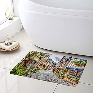 LB Italian Bathroom Rug Mediterranean House Green Plant Red Flower Bath Mat European Stone Street Doormat Non Slip Memory Foam Super Absorbent Floor Mats,24x16 Inch