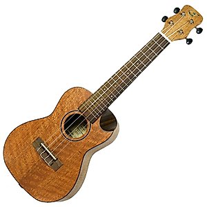 Journey Instruments Meranti Concert Travel Ukulele – UC770CE Traveling Concert-Size Ukulele – Top Best Road Trip Ukulele Musical Instruments – Travel Ukulele Case