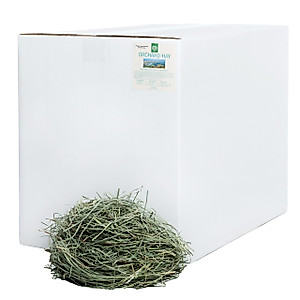 Small Pet Select Orchard Grass Hay Pet Food, 40 lb