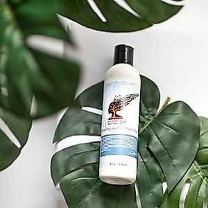 Recover Restore Gro Hydrating Shampoo | All hair types | Hair Growth | Sulfate Free | Vegan | Aloe Vera base | 8oz.