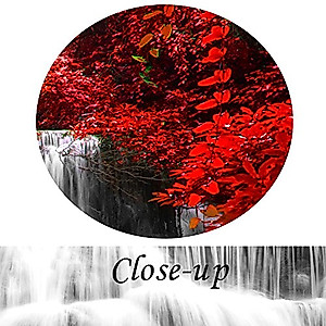 Kreative Arts Black White and Red Canvas Wall Art 3 Pieces Red Woods Waterfall Canvas Print Landscape Paintings Framed Picture for Office and Home Décor Ready to Hang 16x24inchx3pcs