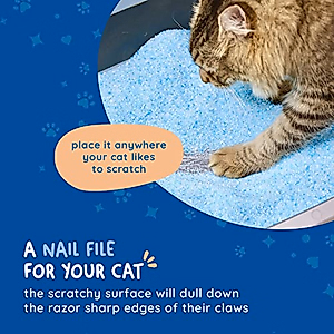 Kitty Cure Litter Box Emery Board and Manicure Strips, Scratch Liner for Litter Box, Nail File for Cats