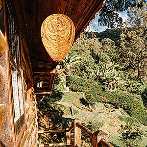 Hanging Fake Wasp Nest Wasp Nest Decoy Natural Wasp Friendly Hornets Nest Lantern for Garden Yard Outdoor