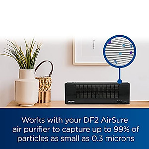 Brother DF-2 High-Efficiency Filter Replacement Model Number FH221, Black